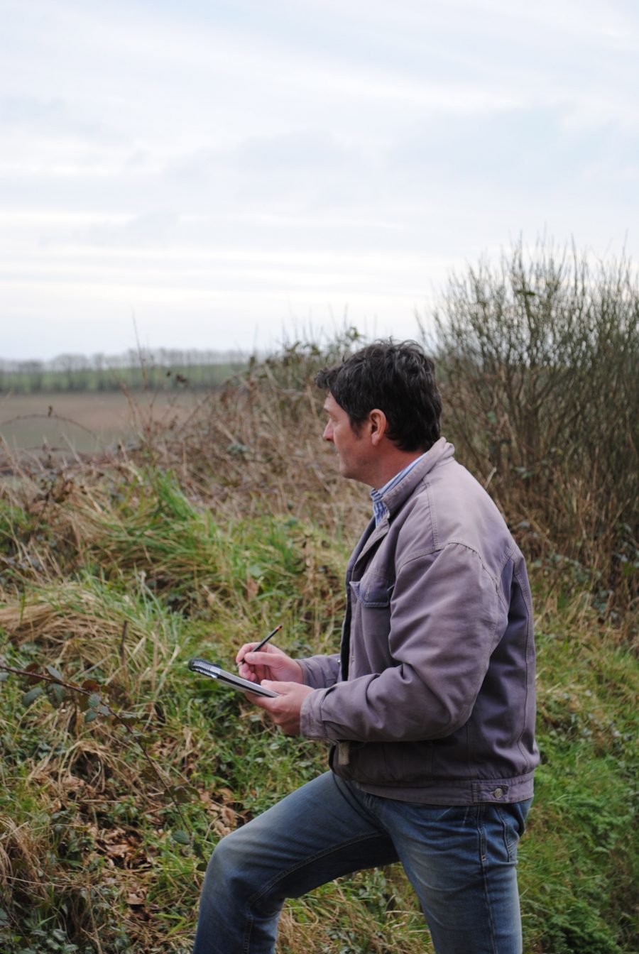 Back In The South West | David Stead, Yorkshire Artist