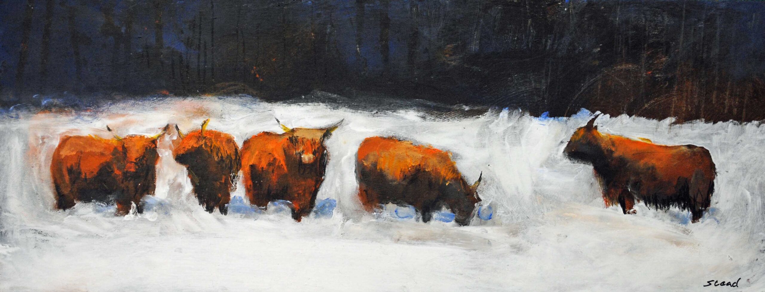 Highland Cattle, Hutton Conyers | David Stead, Yorkshire Artist