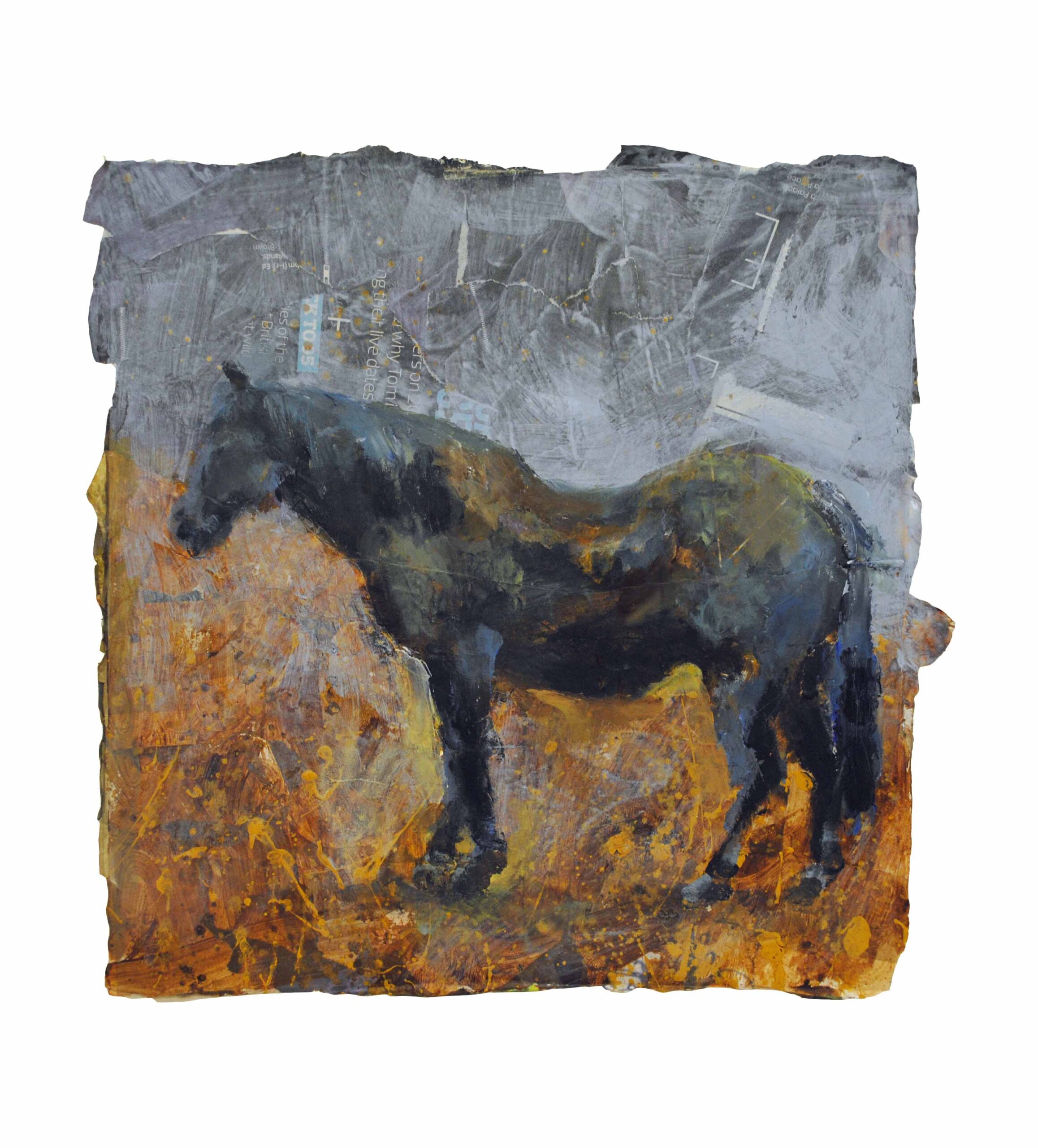 Old Horse | David Stead, Yorkshire Artist