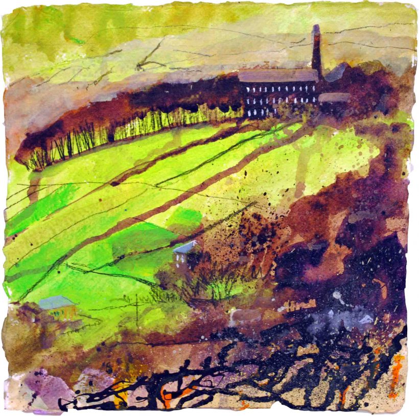 Physalis | David Stead, Yorkshire Artist