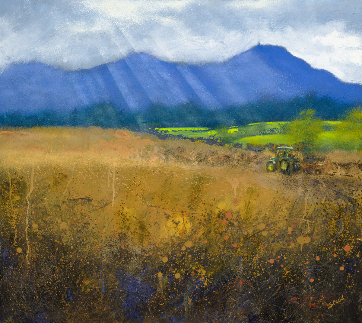 Under The Breidden Hills | David Stead, Yorkshire Artist